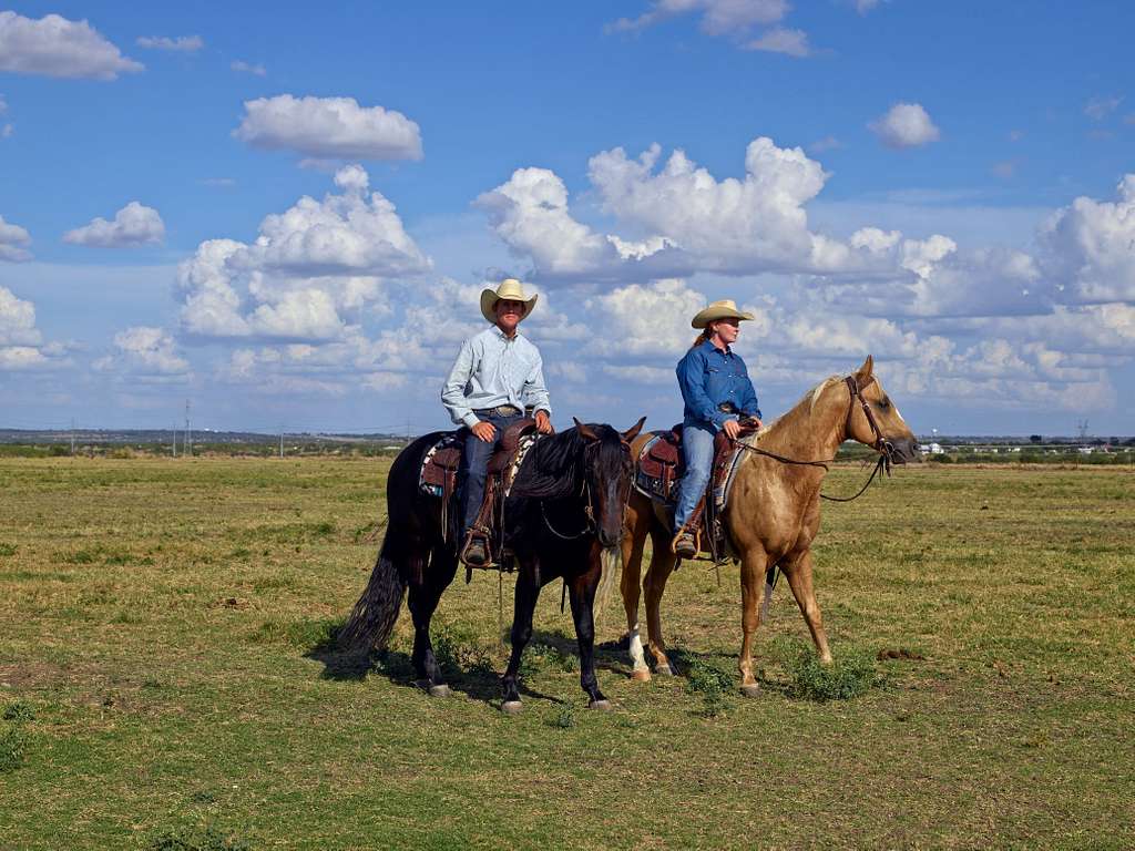 Appeal of Owning a Ranch: Guide to Land and Lifestyle